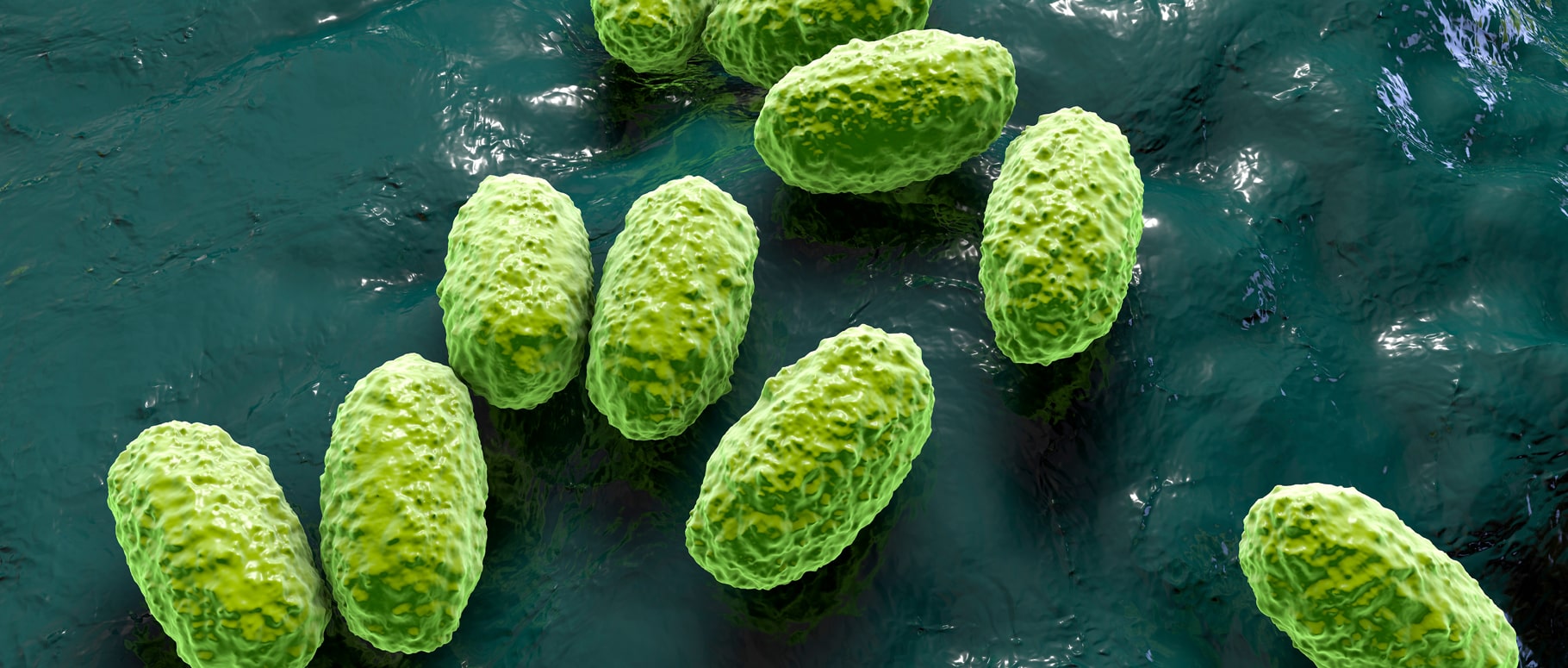 Composition of nasopharyngeal microbiota associated with severity of ...